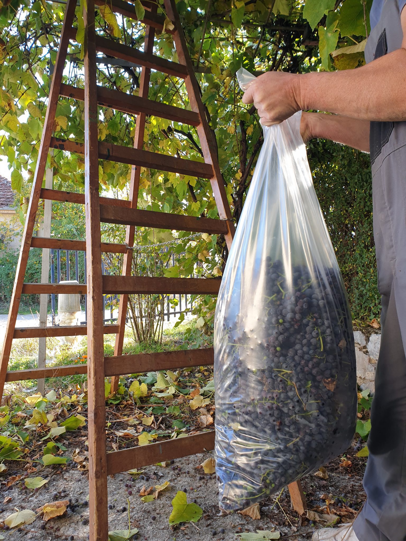 Agriculture - Smart Pack Solutions